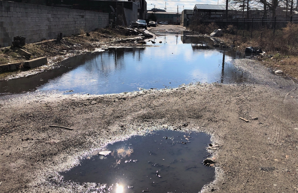 Camden Stormwater Heavy-Metal Analysis and Mapping Project (CASH-MAP ...